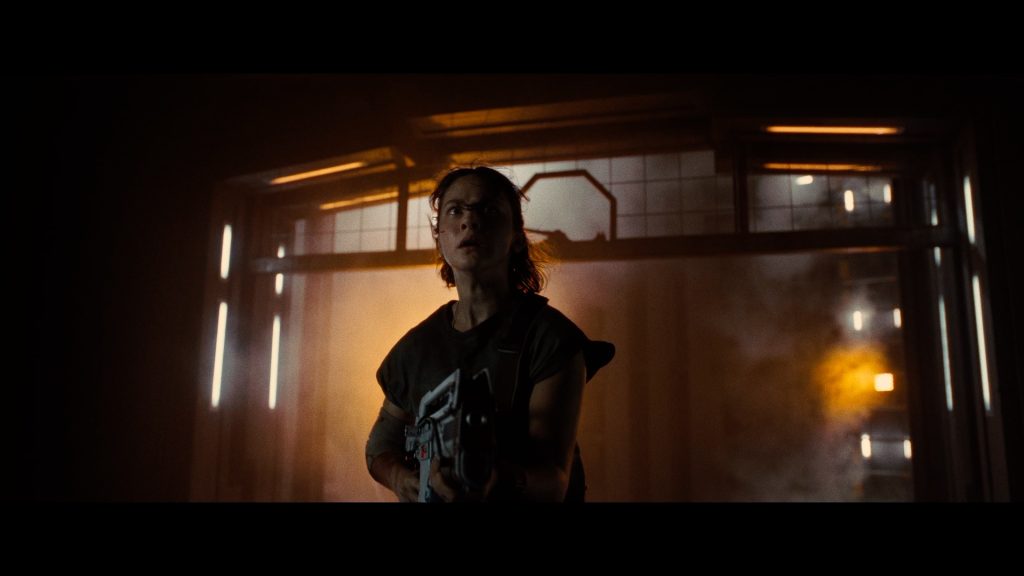 admin March 21, 2024